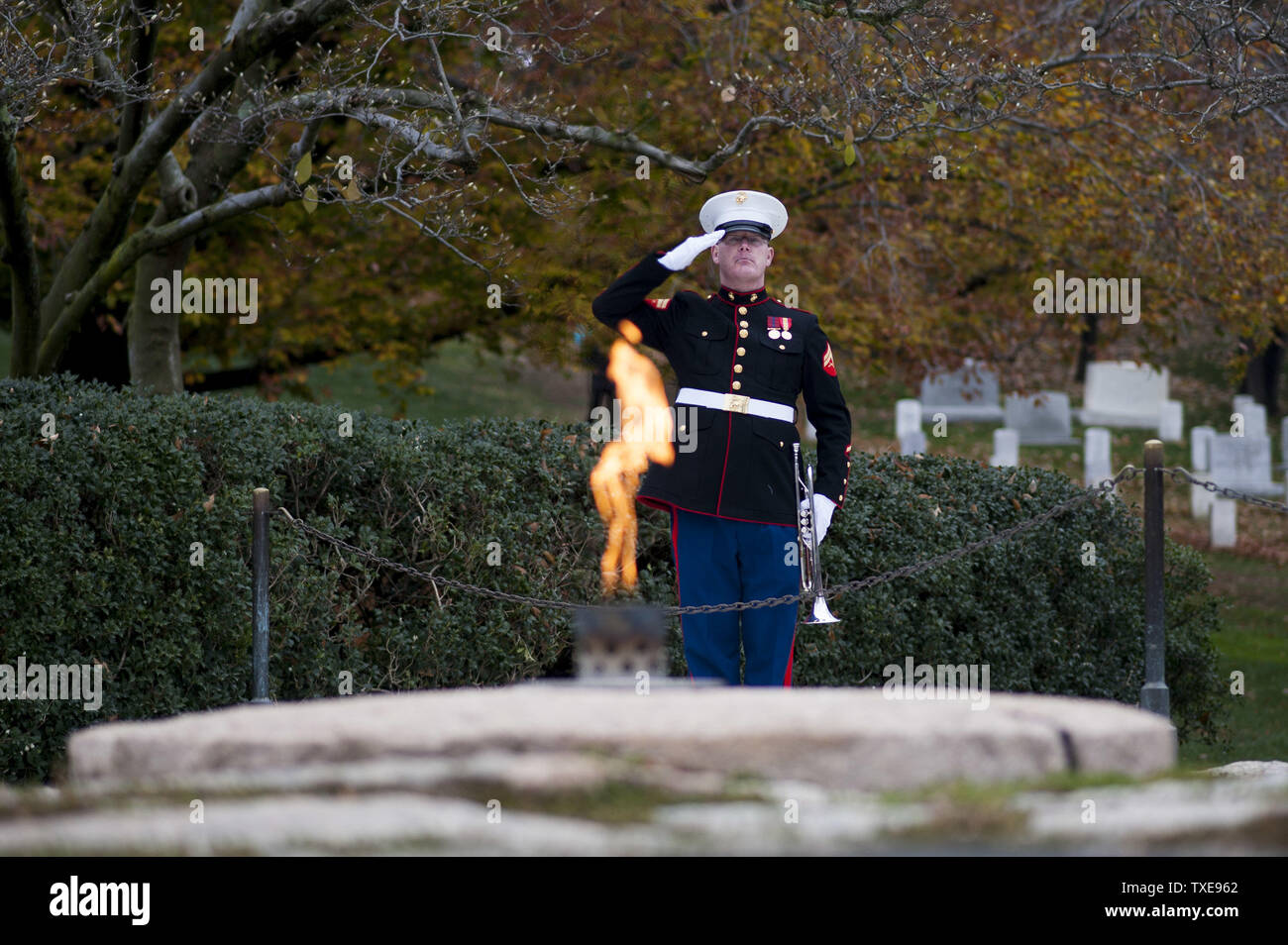 U.S. Marine Corporal Mark Paradis, with Taps For Veterans, salutes ...