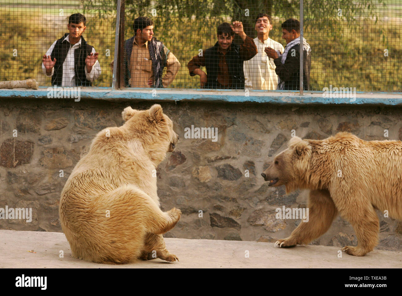 Bears in a zoo hi-res stock photography and images - Alamy