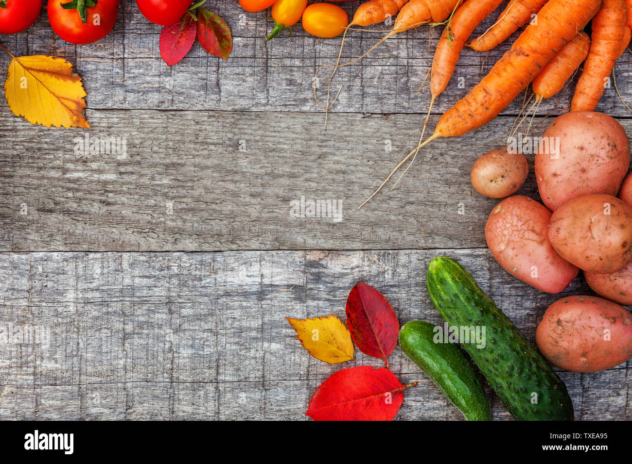Assortment different fresh organic vegetables on country style wooden ...