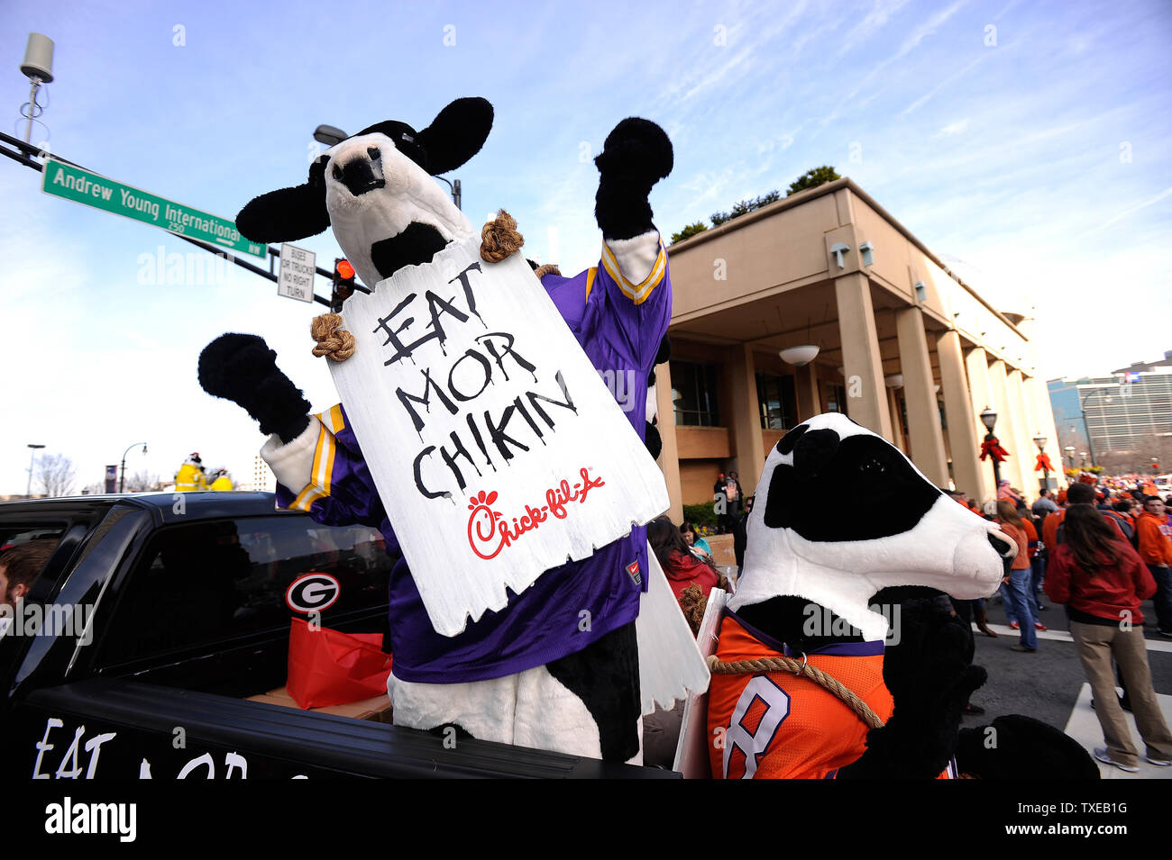 Chick-fil-A mascots join high school bands, drill teams, parade floats ...