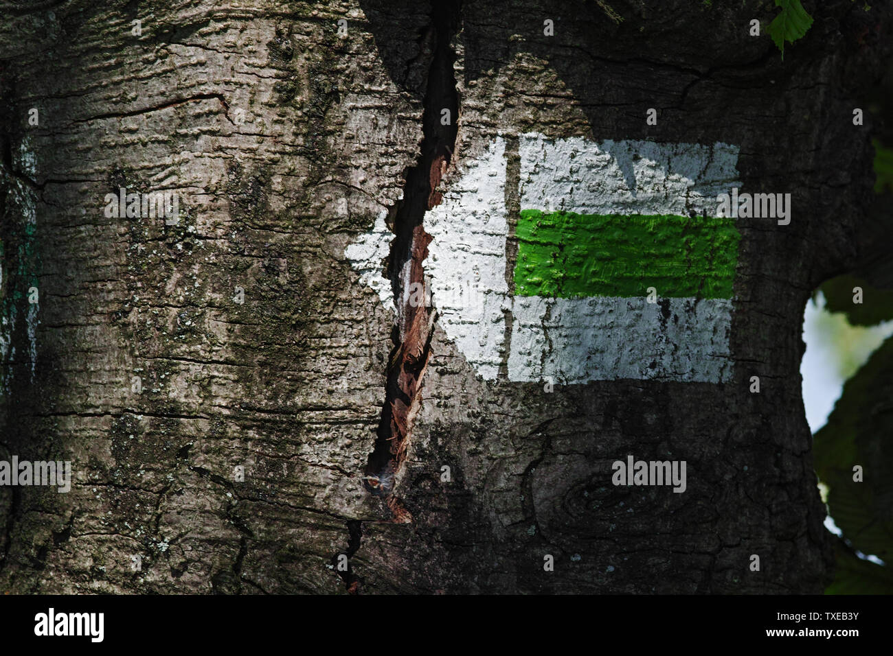 a green hiking sign arrow Stock Photo - Alamy