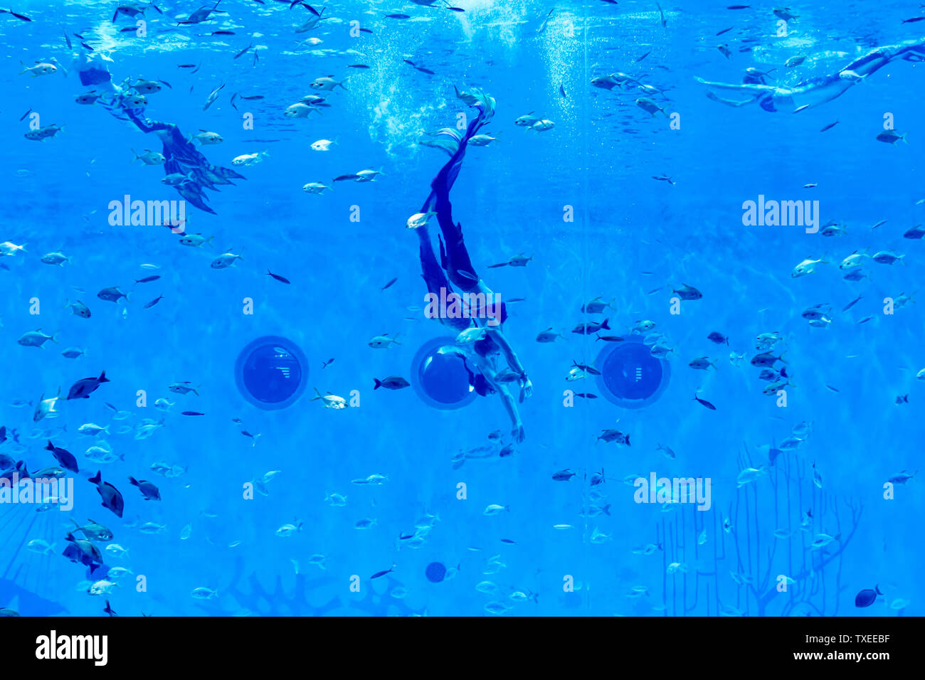 Mermaid performance at Haichang Ocean Park, Shanghai Stock Photo - Alamy