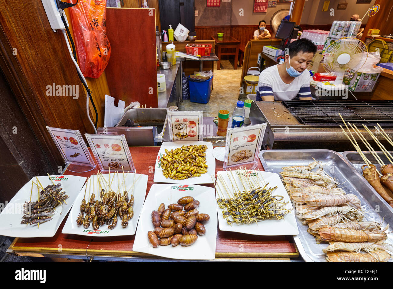 China insects hi-res stock photography and images - Alamy