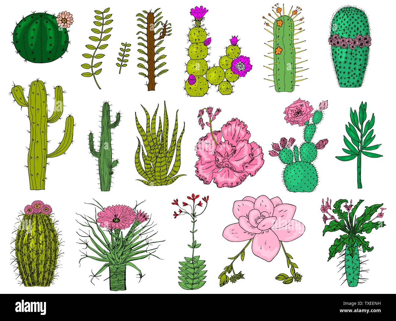 Home cactus plants and flowers. Set of cozy cute elements. Collection of Exotic or tropical ...