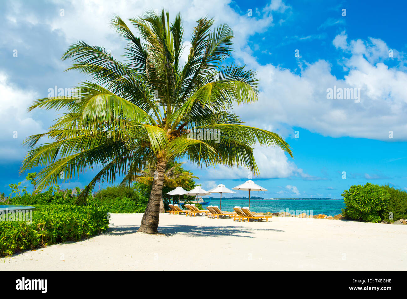 The beautiful landscape of the deserted Indian Ocean sandy beach ...