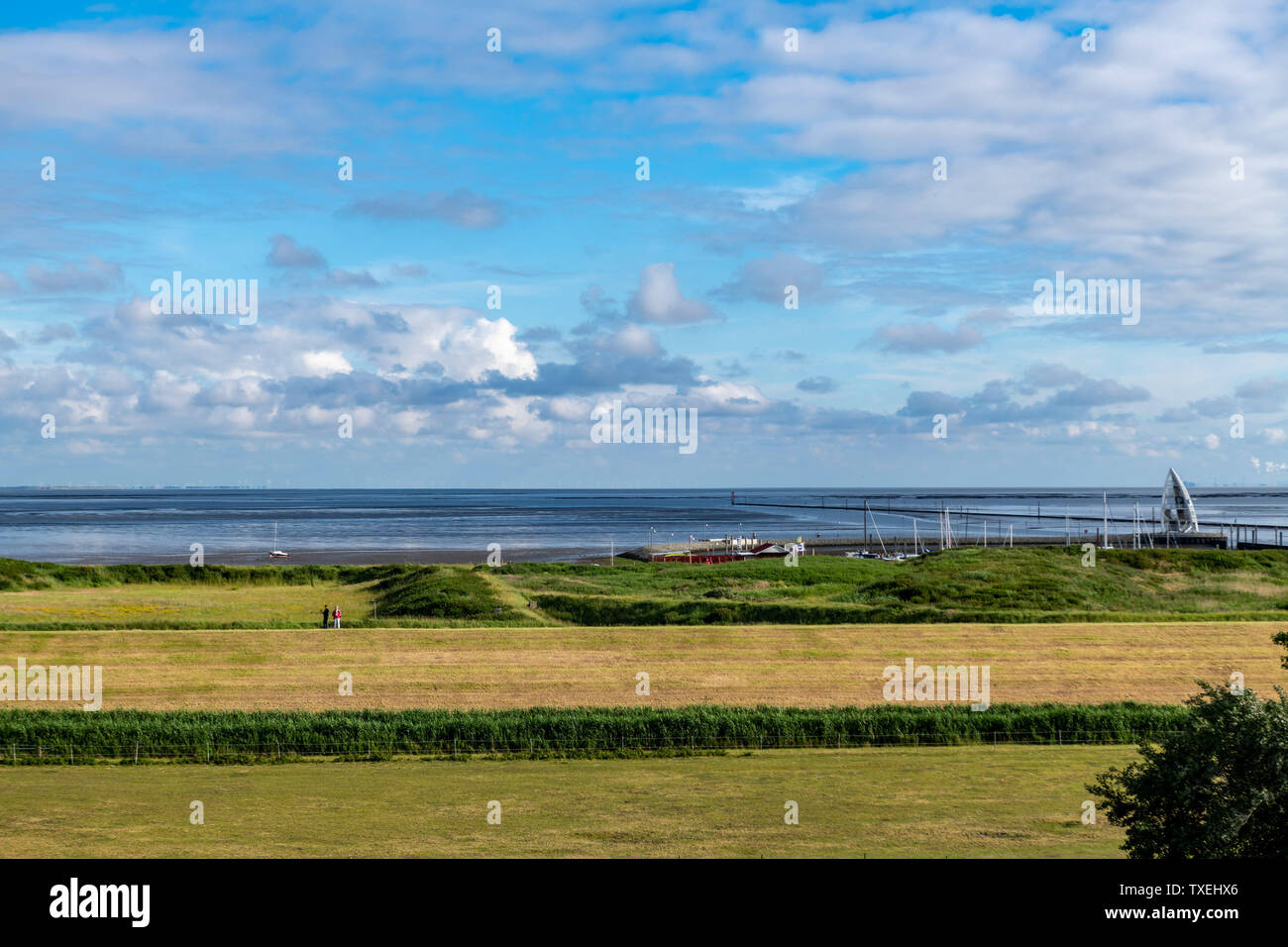 Salt marshes on Juist an East Frisian island in Germany in summer Stock ...