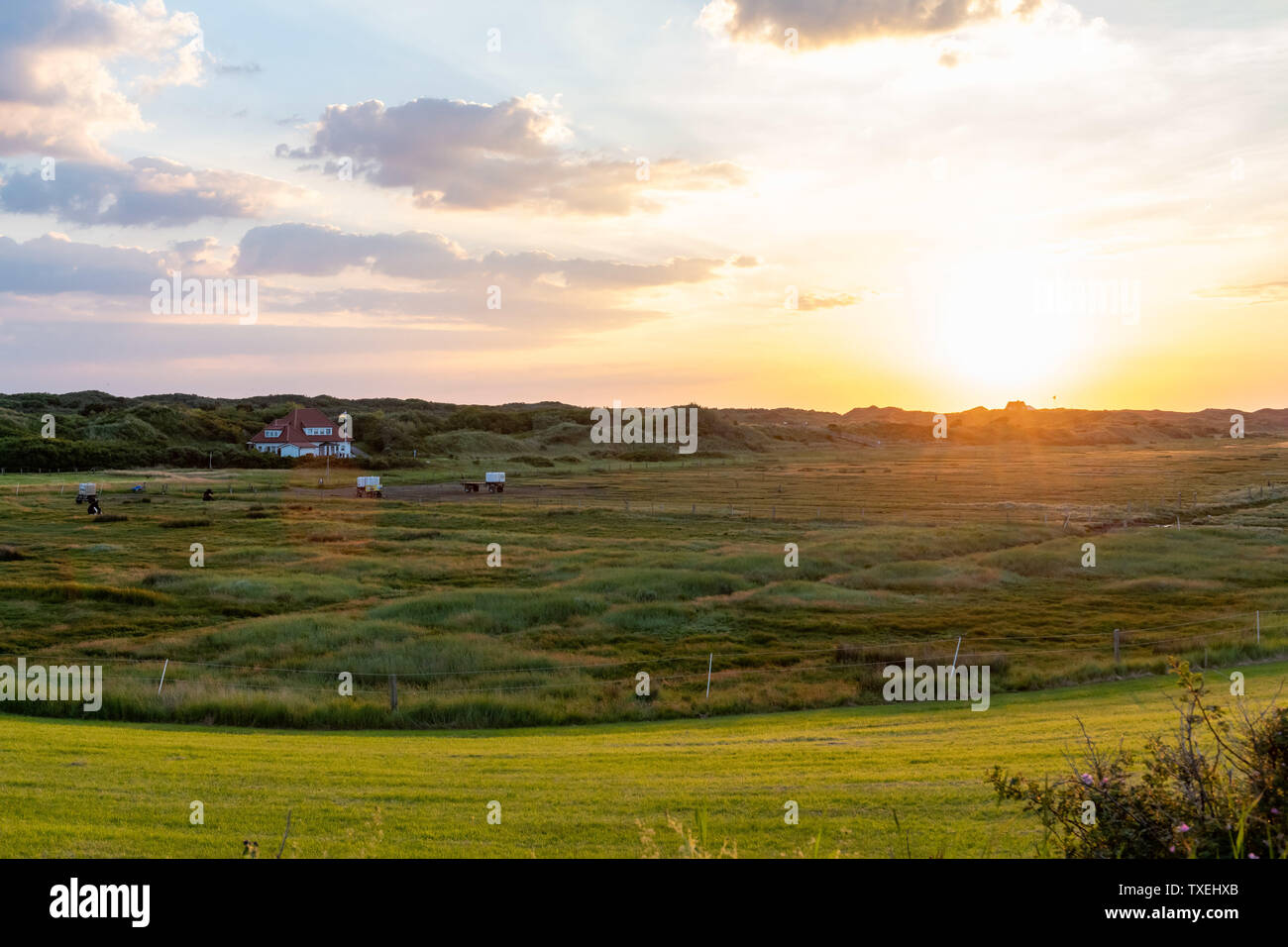 Salt marshes on Juist an East Frisian island in Germany in summer Stock ...