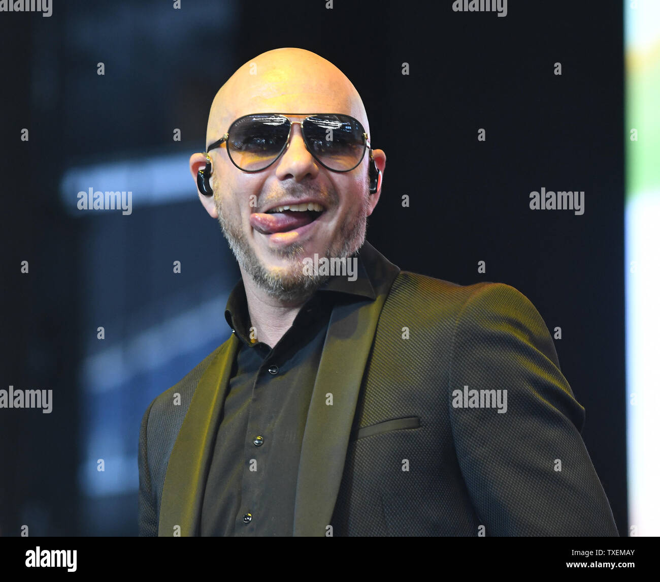 Pitbull art hi-res stock photography and images - Alamy