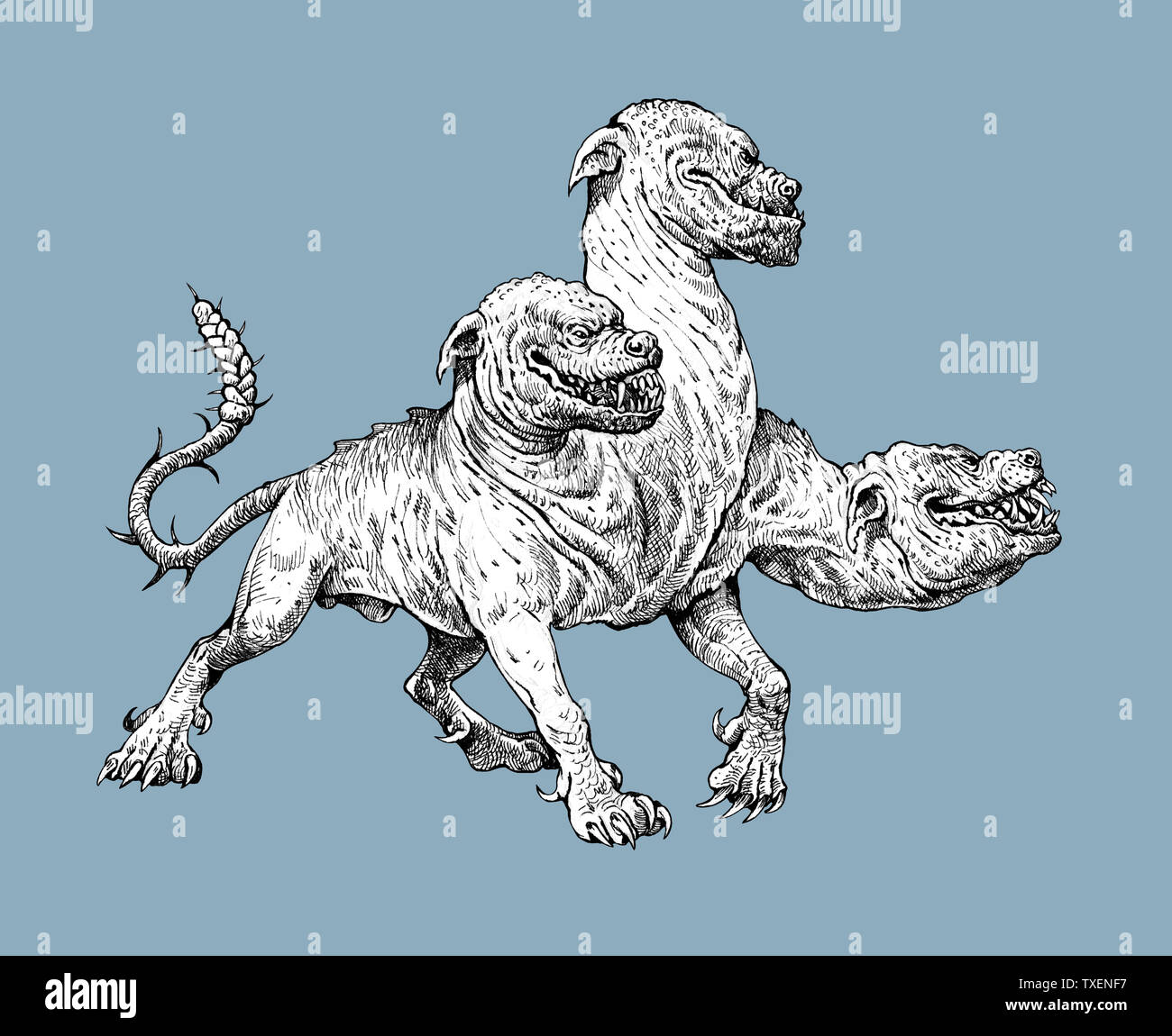 Two Headed Dog Mythology Zora Weir Gertzog Cerberus