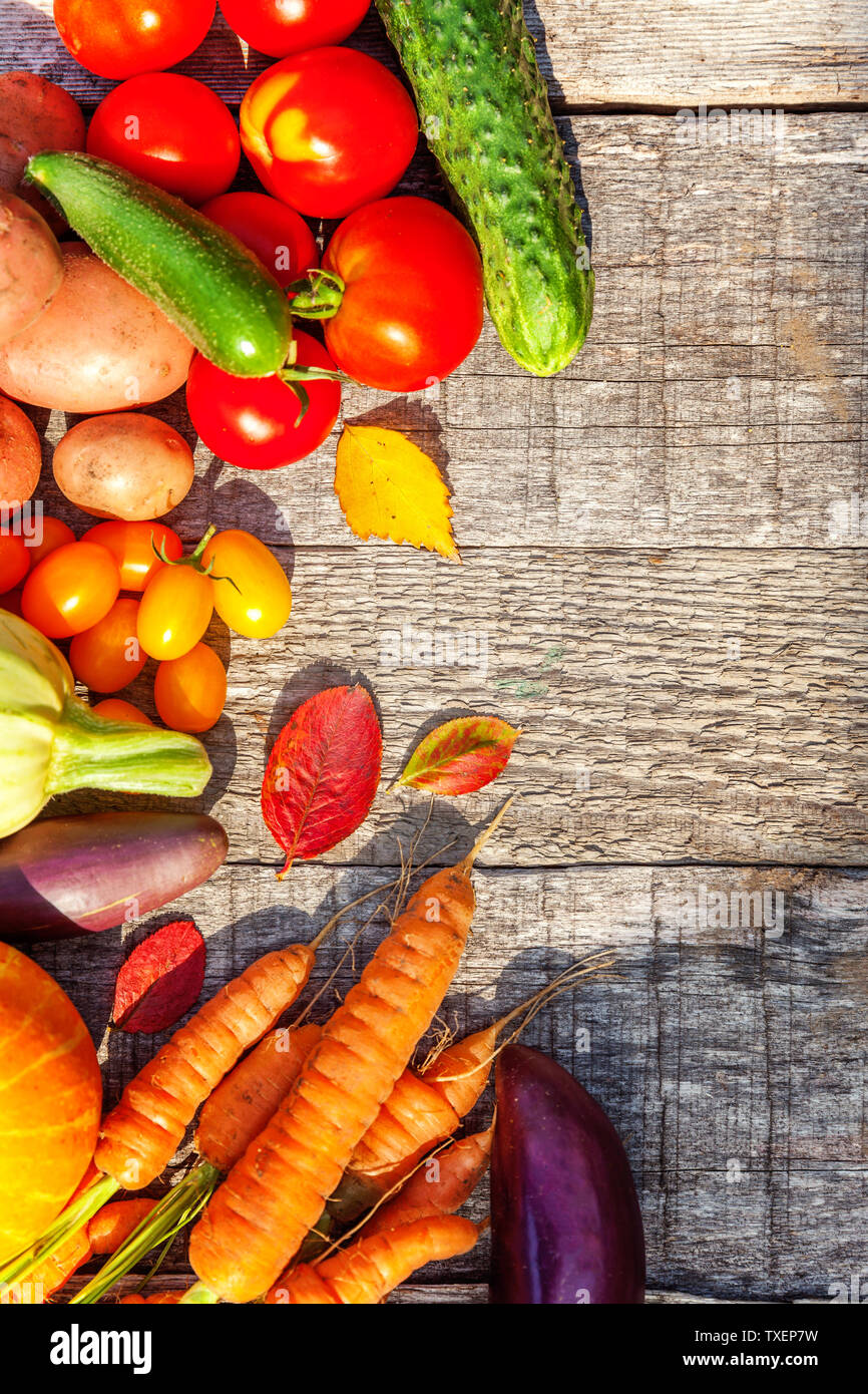 Assortment different fresh organic vegetables on country style wooden ...