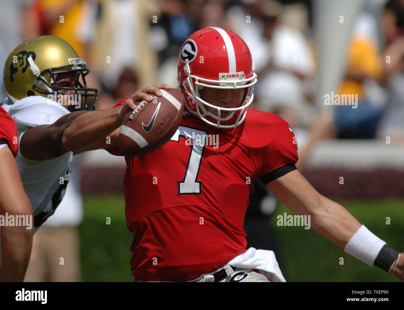 Matthew stafford georgia hi-res stock photography and images - Alamy