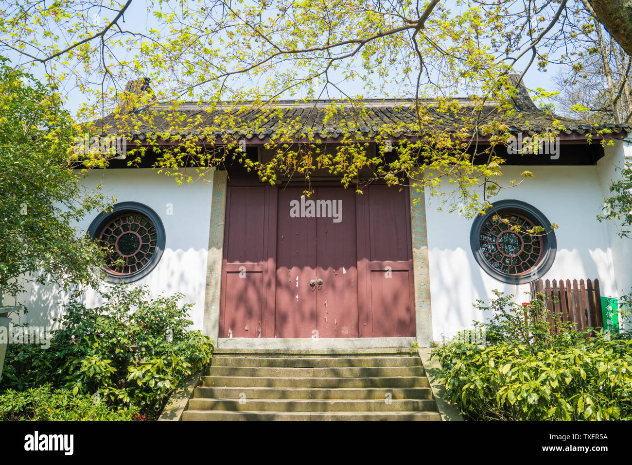 Tiger running dream spring Stock Photo - Alamy