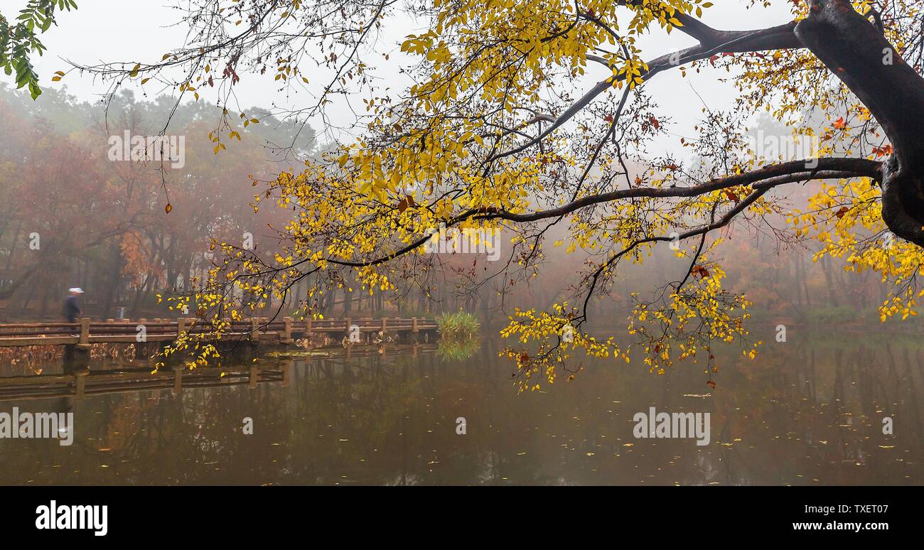 Suzhou garden Tianping Mountain red maple Stock Photo - Alamy
