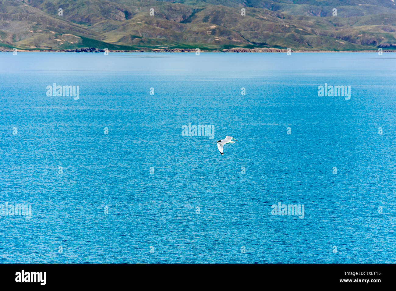 Elong elong hi-res stock photography and images - Alamy