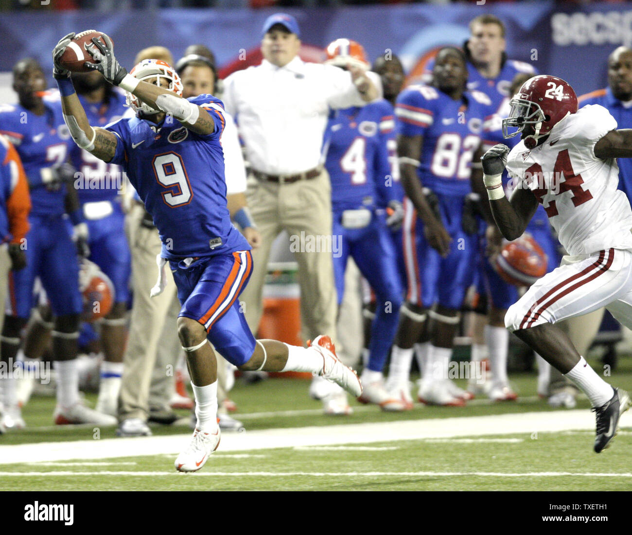 Top gator hi-res stock photography and images - Alamy