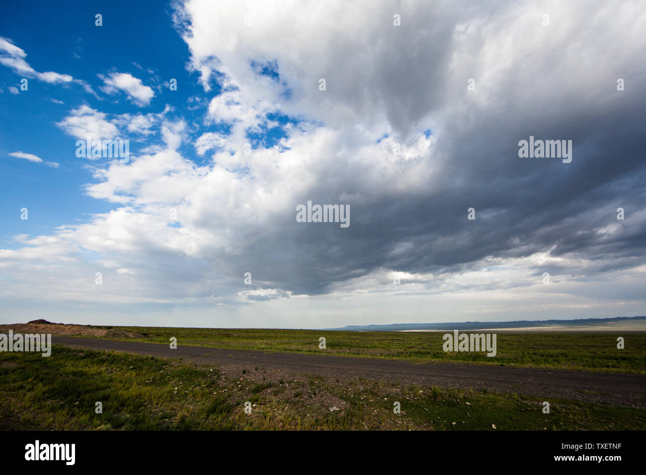 Ruts in pavement hi-res stock photography and images - Alamy