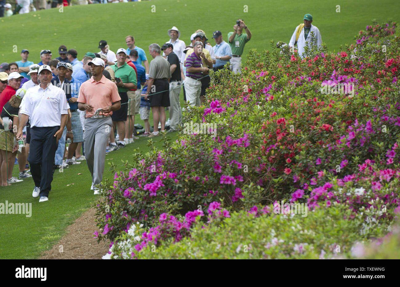 Augusta national golf club azaleas hi-res stock photography and images ...