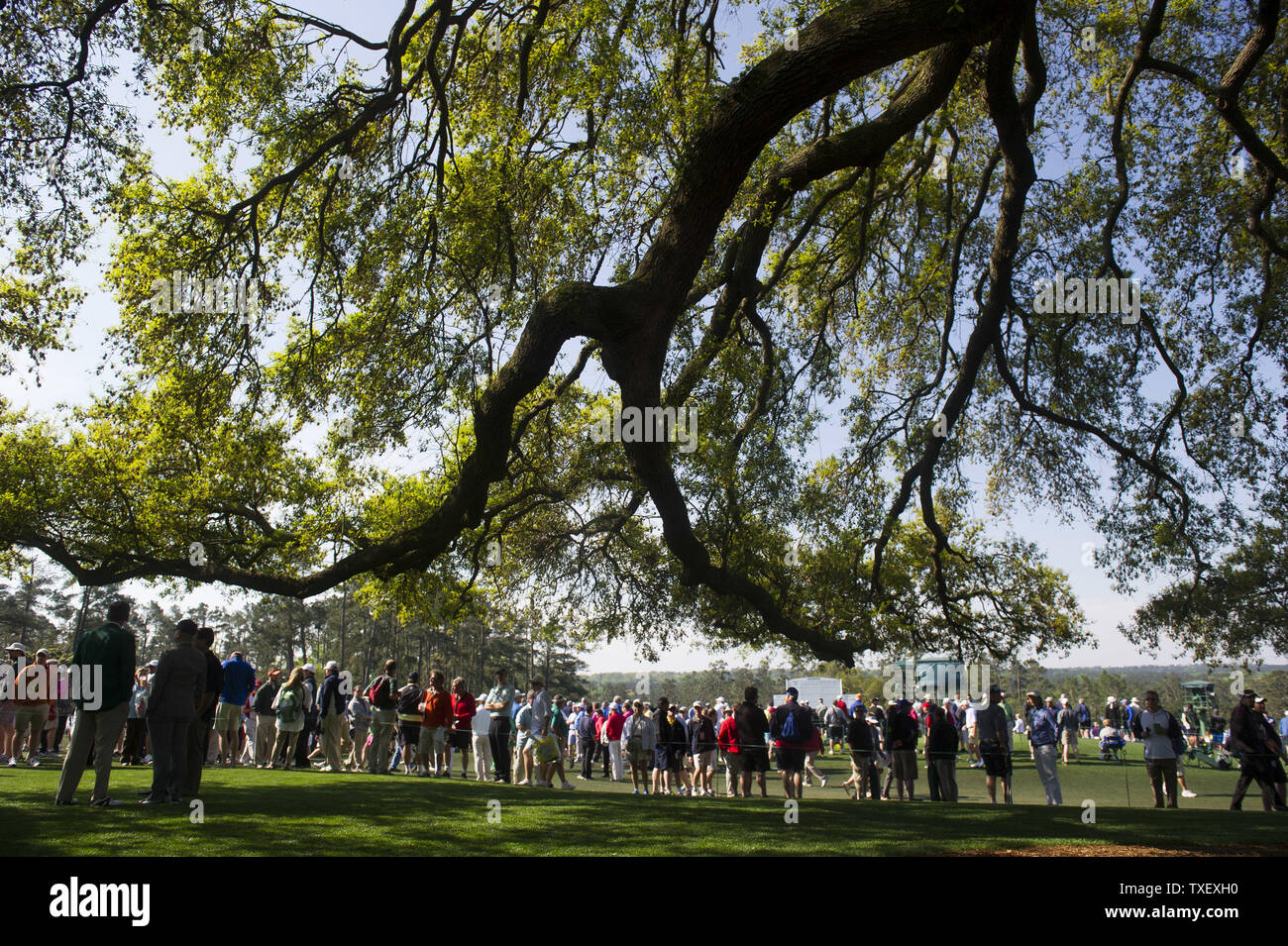 Patrons gather under the oak tree near the clubhouse during a practice ... Patrons gather under the oak tree near the clubhouse during a practice ...