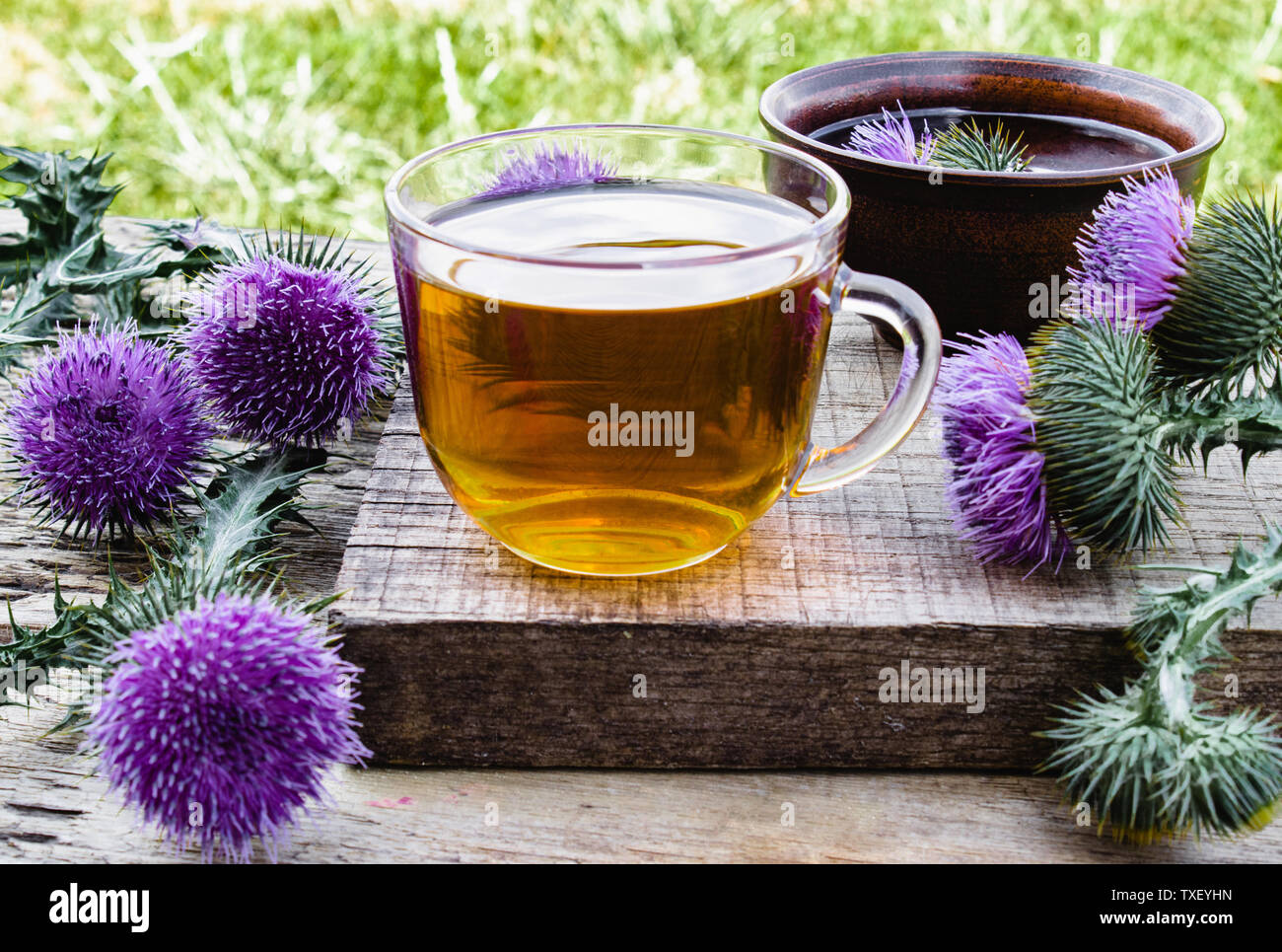 A cup of thistle tea on a woody background on nature. Thistle flowers ...