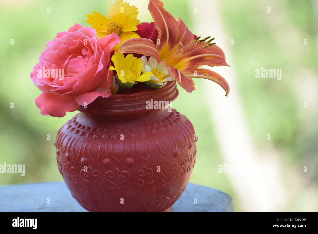 variety of flowers in pot Stock Photo - Alamy