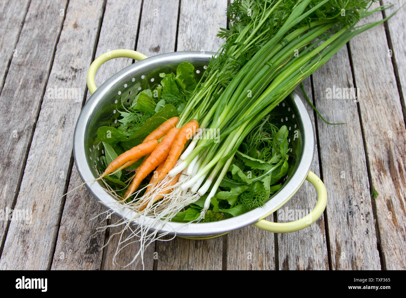 Food in colander hi-res stock photography and images - Alamy