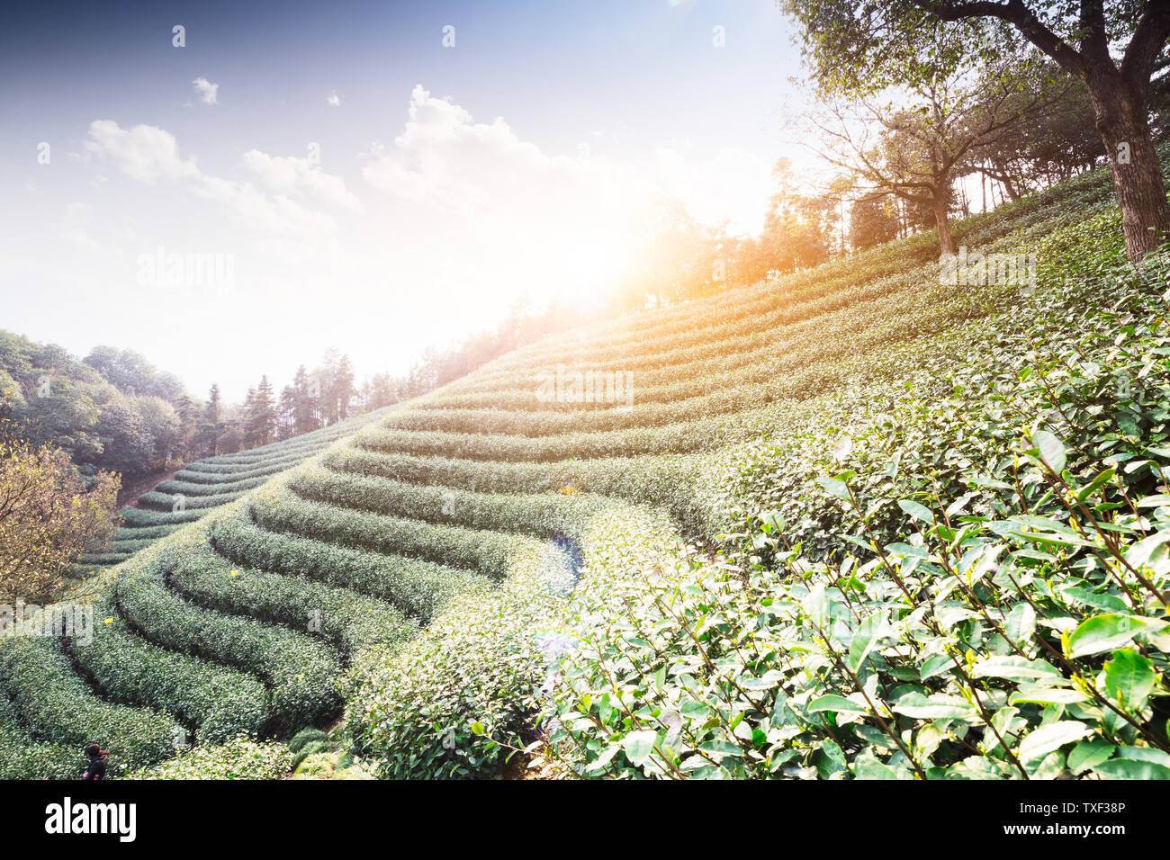 Agricultural landscape with no one farmland Stock Photo - Alamy