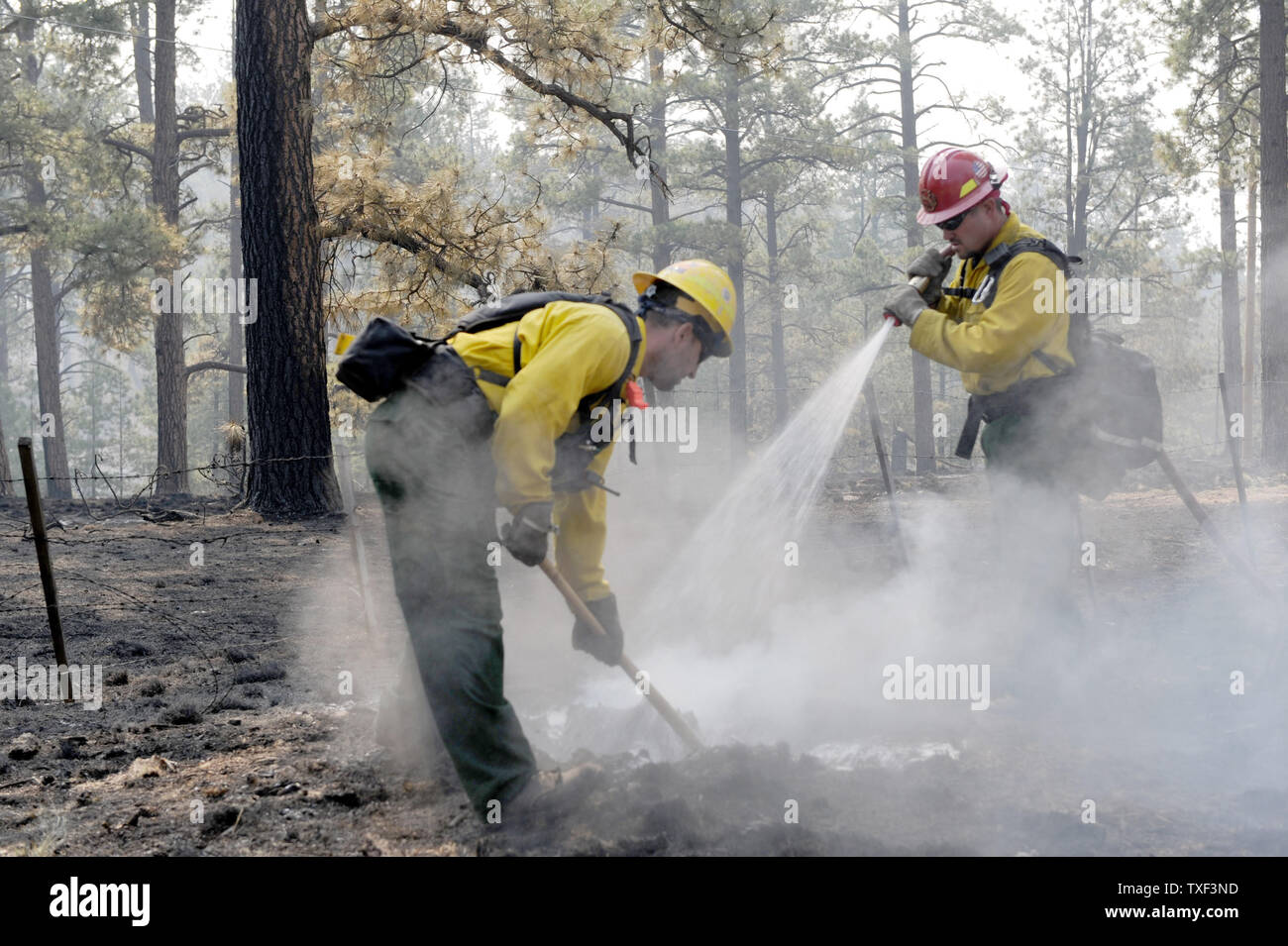 Wollow fire hi-res stock photography and images - Alamy