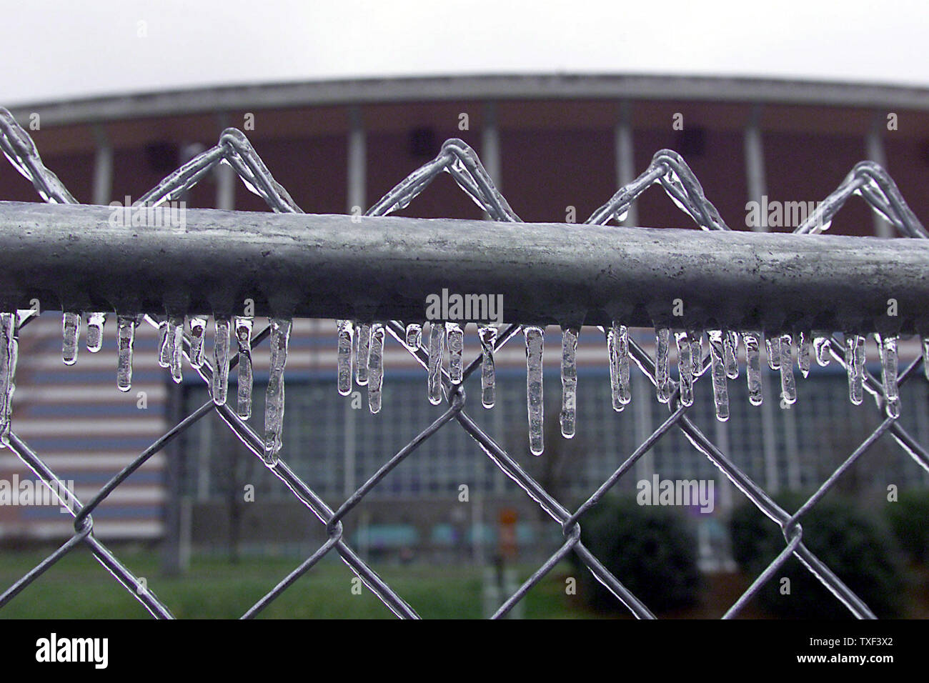 ATL2000013001 - 30 JANUARY 2000 - ATLANTA, GEORGIA, USA: Ice hangs from ...