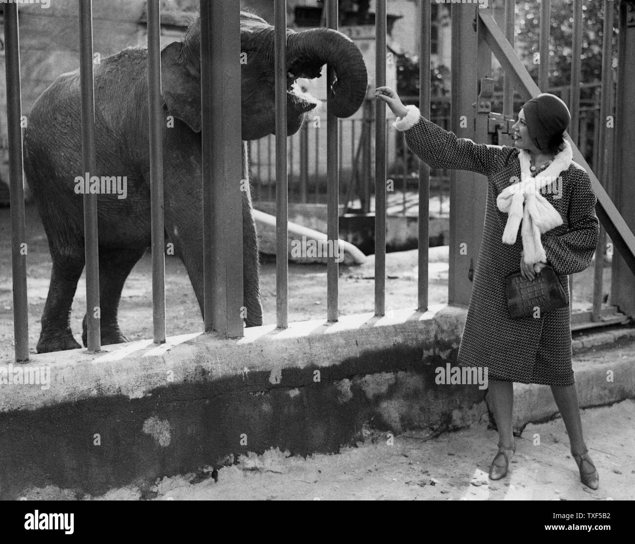 Historical zoo images Black and White Stock Photos & Images - Alamy