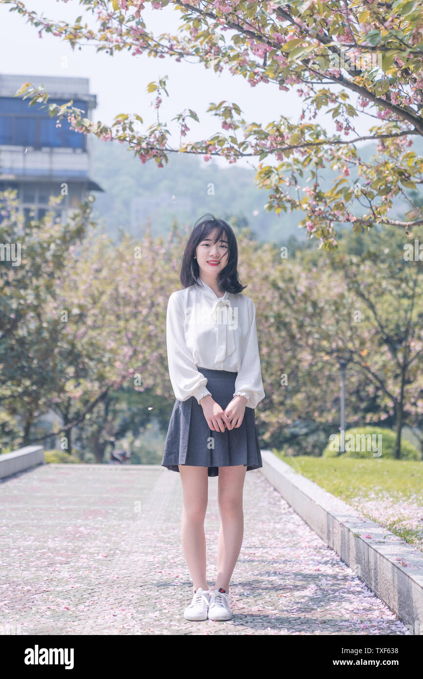 Photographed during heavy mail cherry blossom season Stock Photo - Alamy