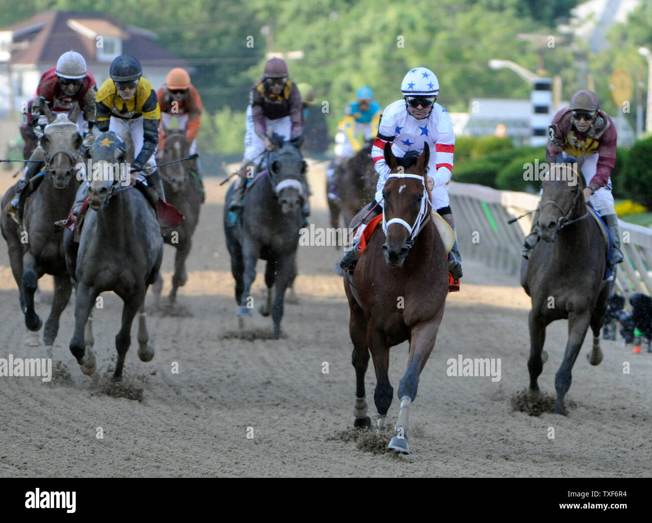 Horse winning race photo finish hi-res stock photography and images - Alamy