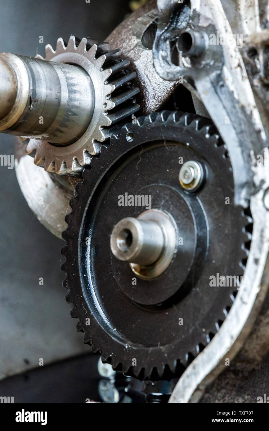 Gears impaled on the shaft spline. Part of gearbox Stock Photo - Alamy