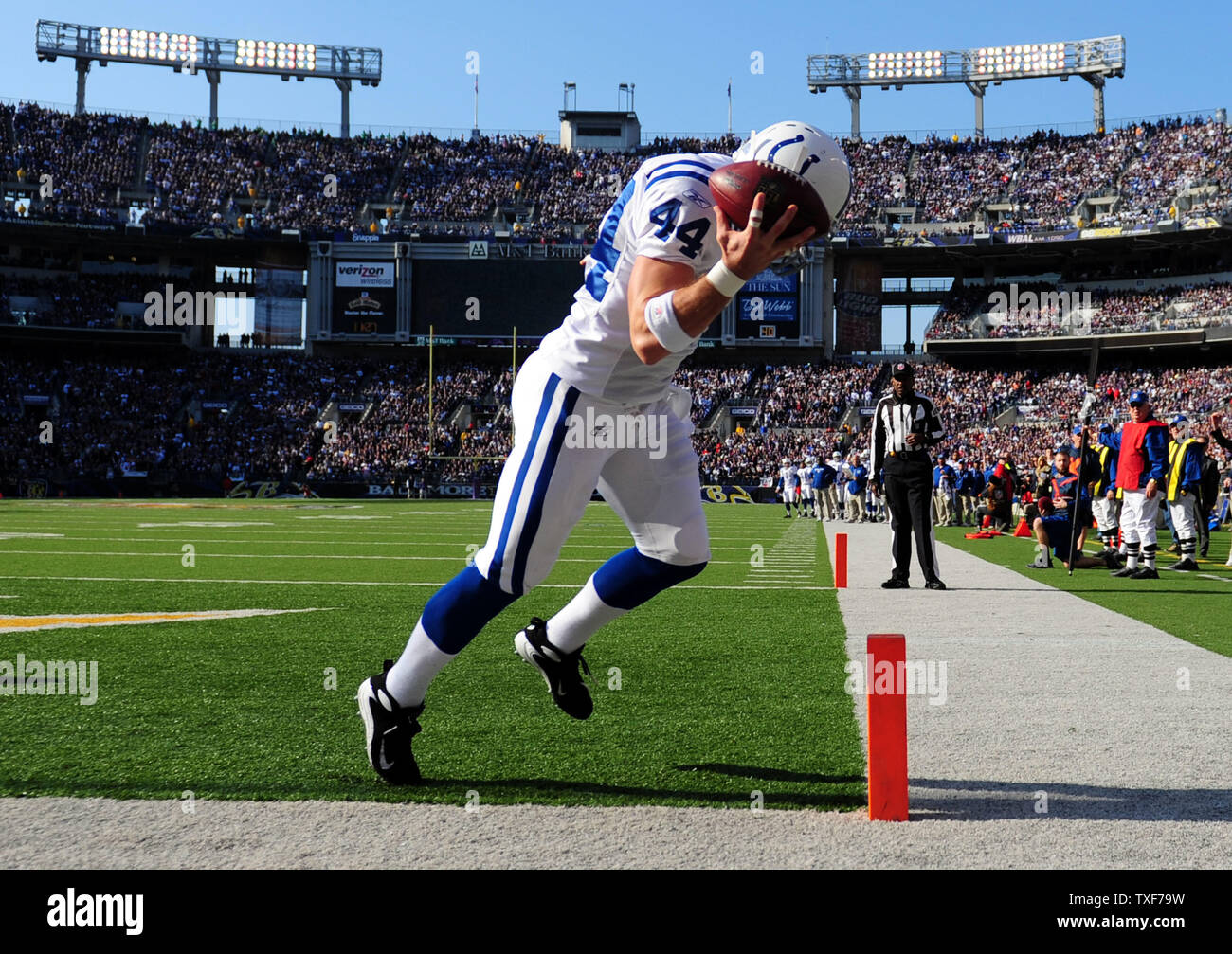 Baltimore colts hi-res stock photography and images - Alamy