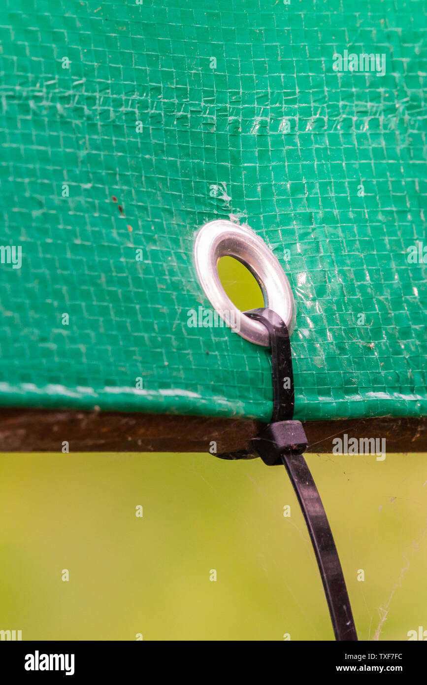 Plastic stripe pies for banner fixing as canopy Stock Photo - Alamy