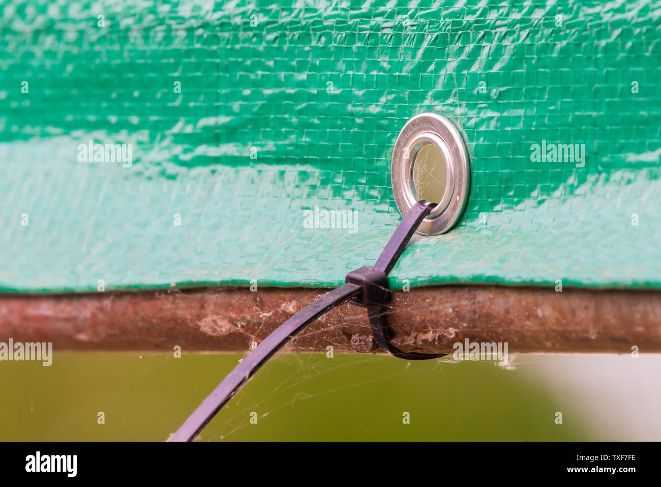 Plastic stripe pies for banner fixing as canopy Stock Photo - Alamy