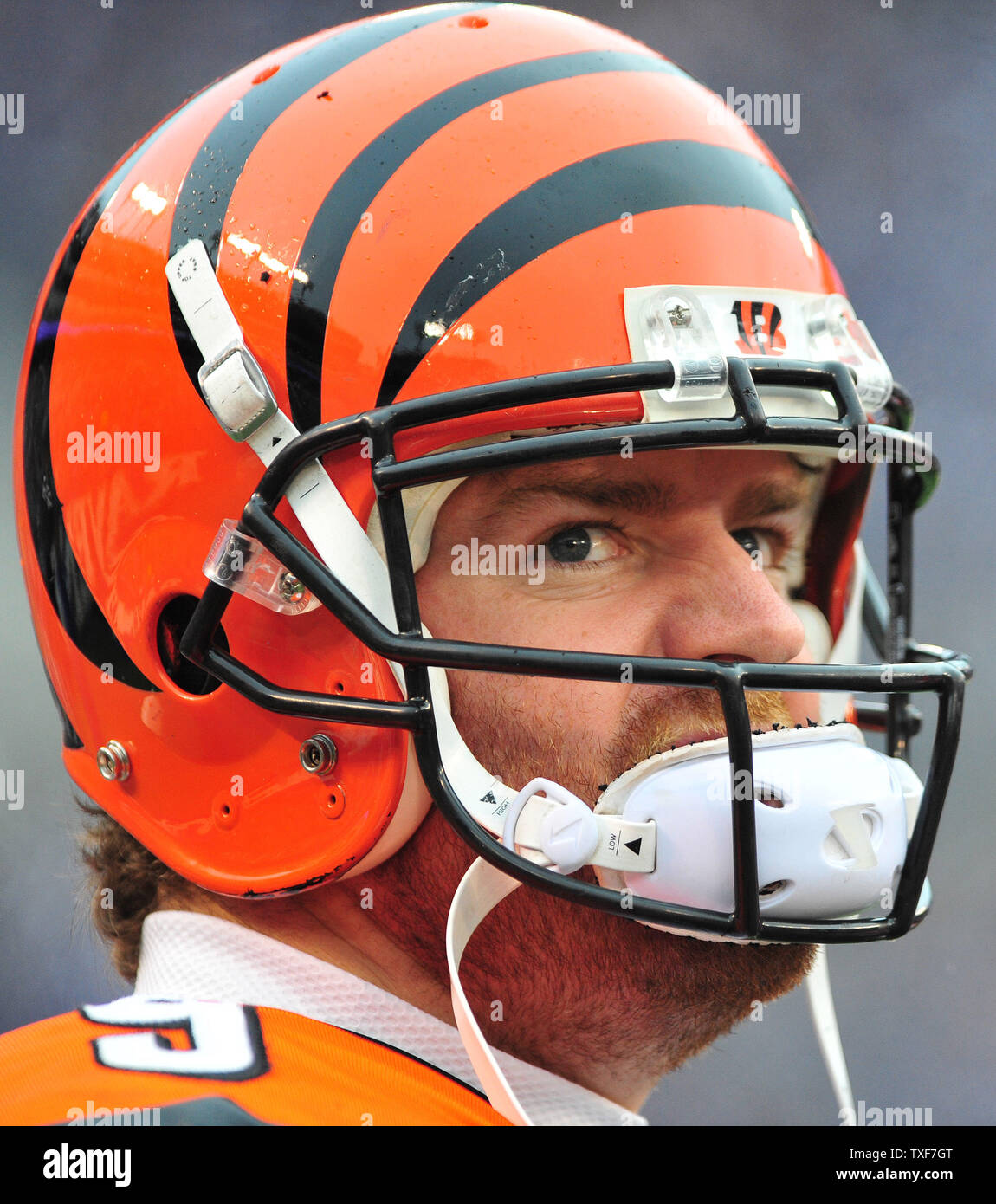 Carson palmer bengals hi-res stock photography and images - Alamy