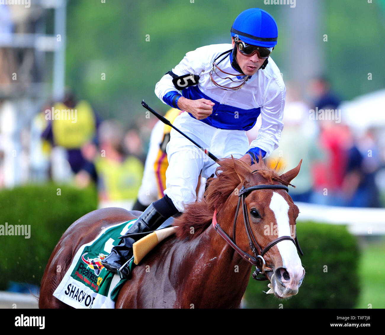 Jockey Jesus Lopez Castanon, riding Shackleford, celebrates as he ...