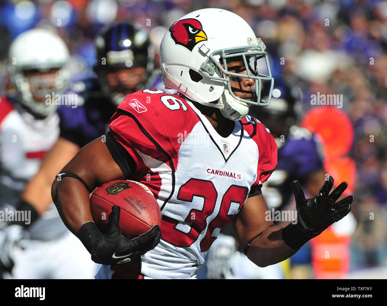 Stephens howling hi-res stock photography and images - Alamy