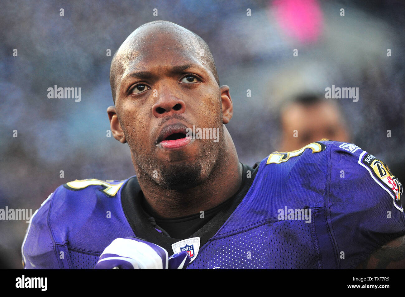 Terrell suggs ravens hi-res stock photography and images - Alamy
