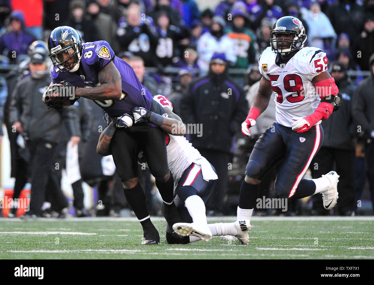 Raven brings hi-res stock photography and images - Alamy