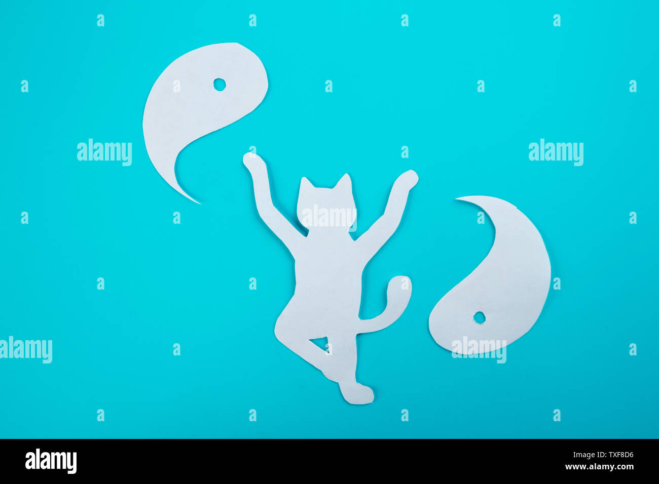 funny cat character meditating. yoga meditation concept Stock Photo - Alamy