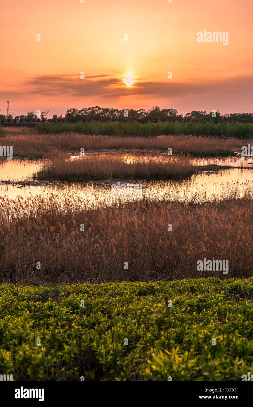 Prairie wetlands sunset and sunset Stock Photo - Alamy