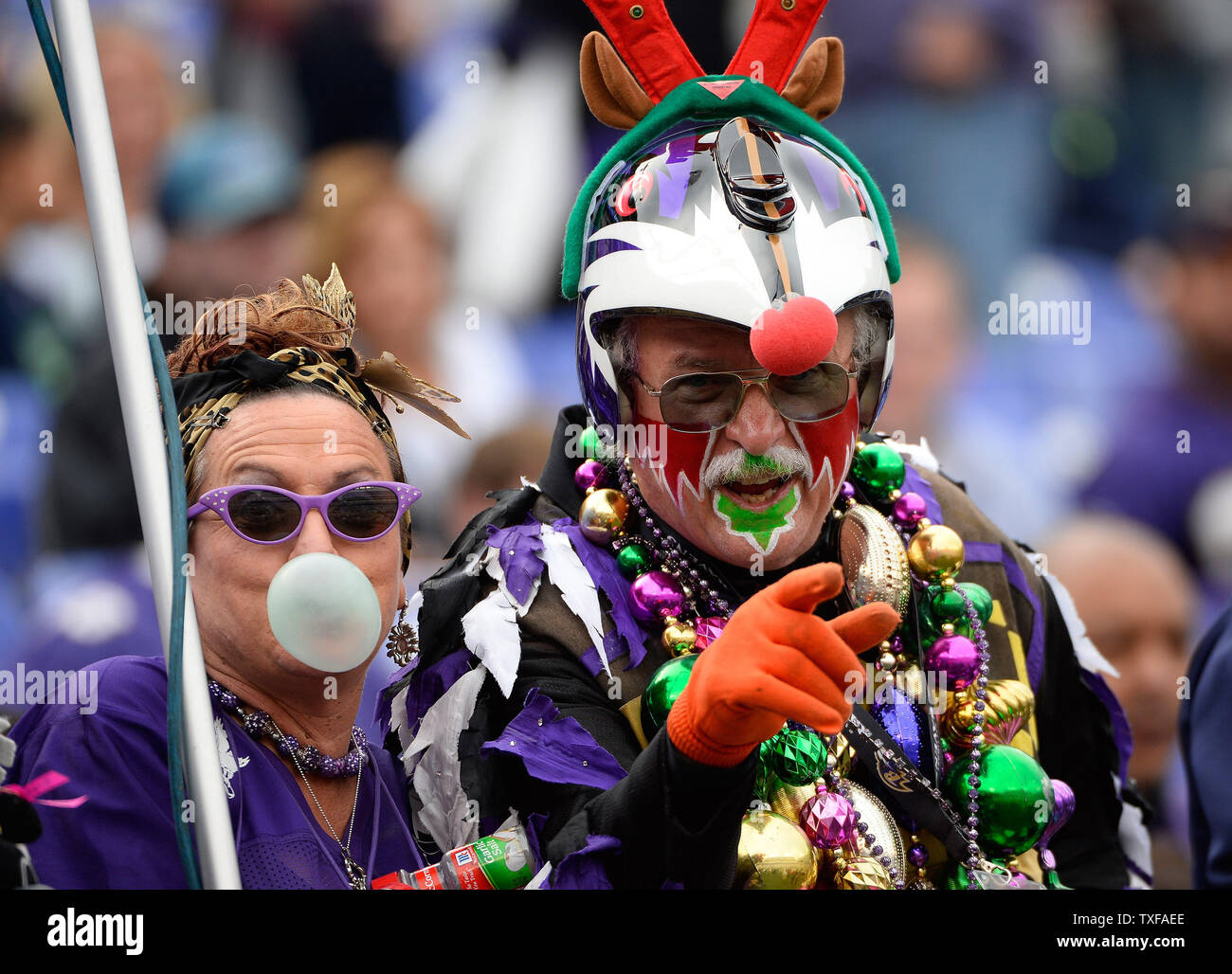 Matt tulis hi-res stock photography and images - Alamy