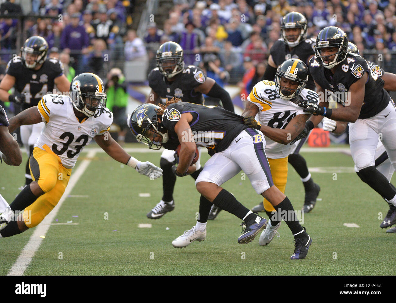 Kaelin hi-res stock photography and images - Alamy