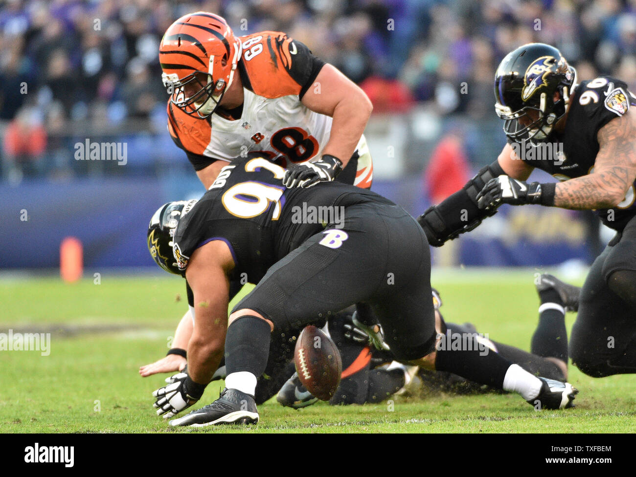 Baltimore Ravens defensive end Lawrence Guy (93) recovers a Cincinnati ...