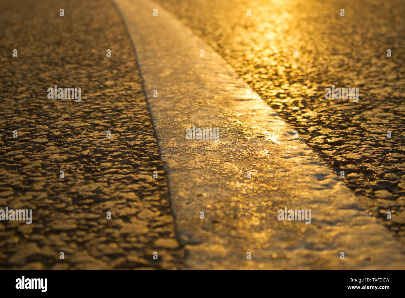 asphalt road close up on the sunset Stock Photo - Alamy
