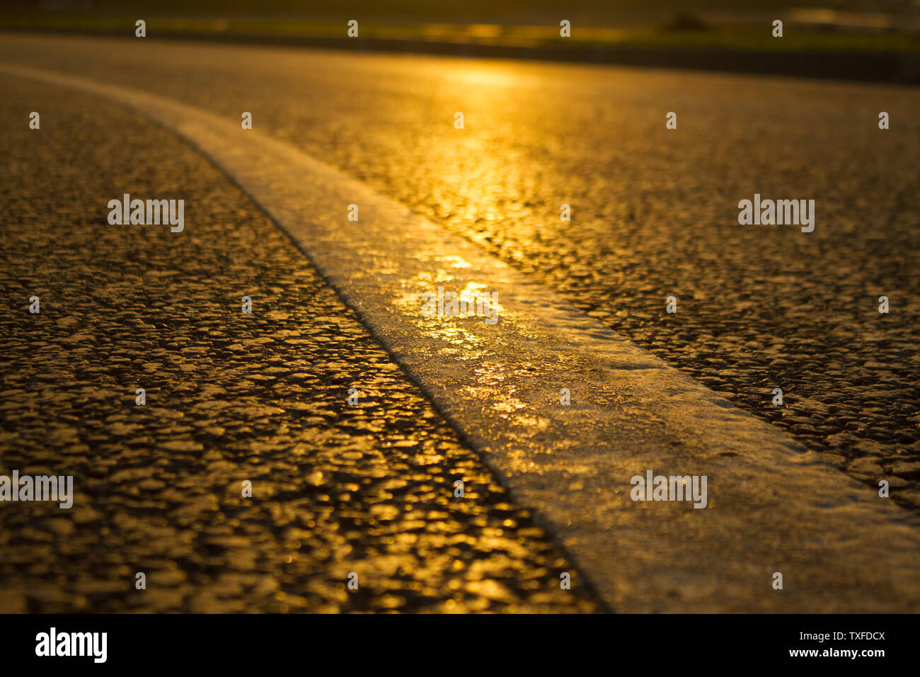asphalt road close up on the sunset Stock Photo - Alamy