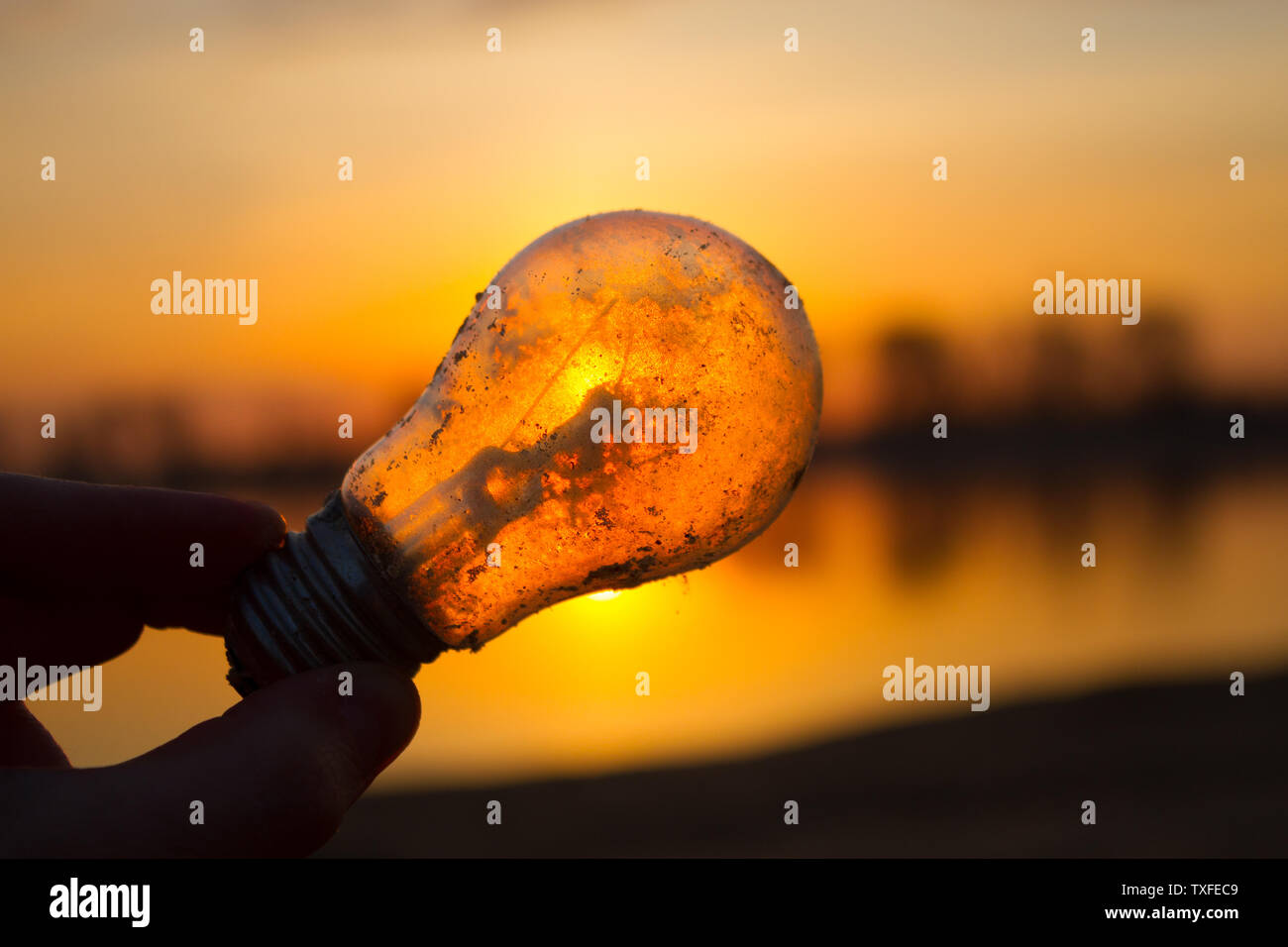 sun power concept. light bulb with sun shining through it Stock Photo ...