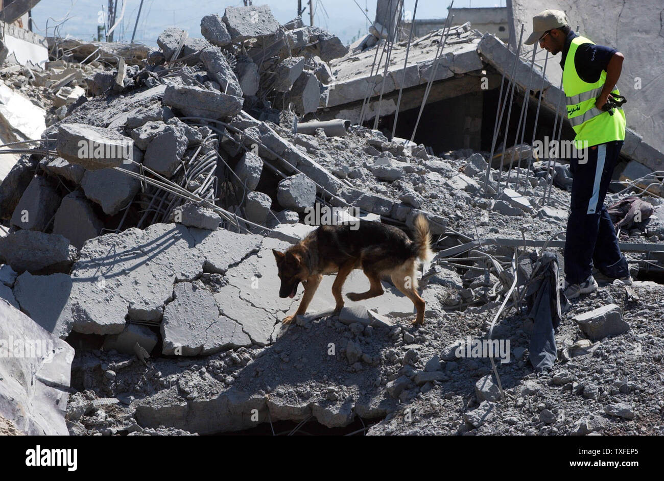 A Qatari dog rescue team searches through the rubble of houses for ...