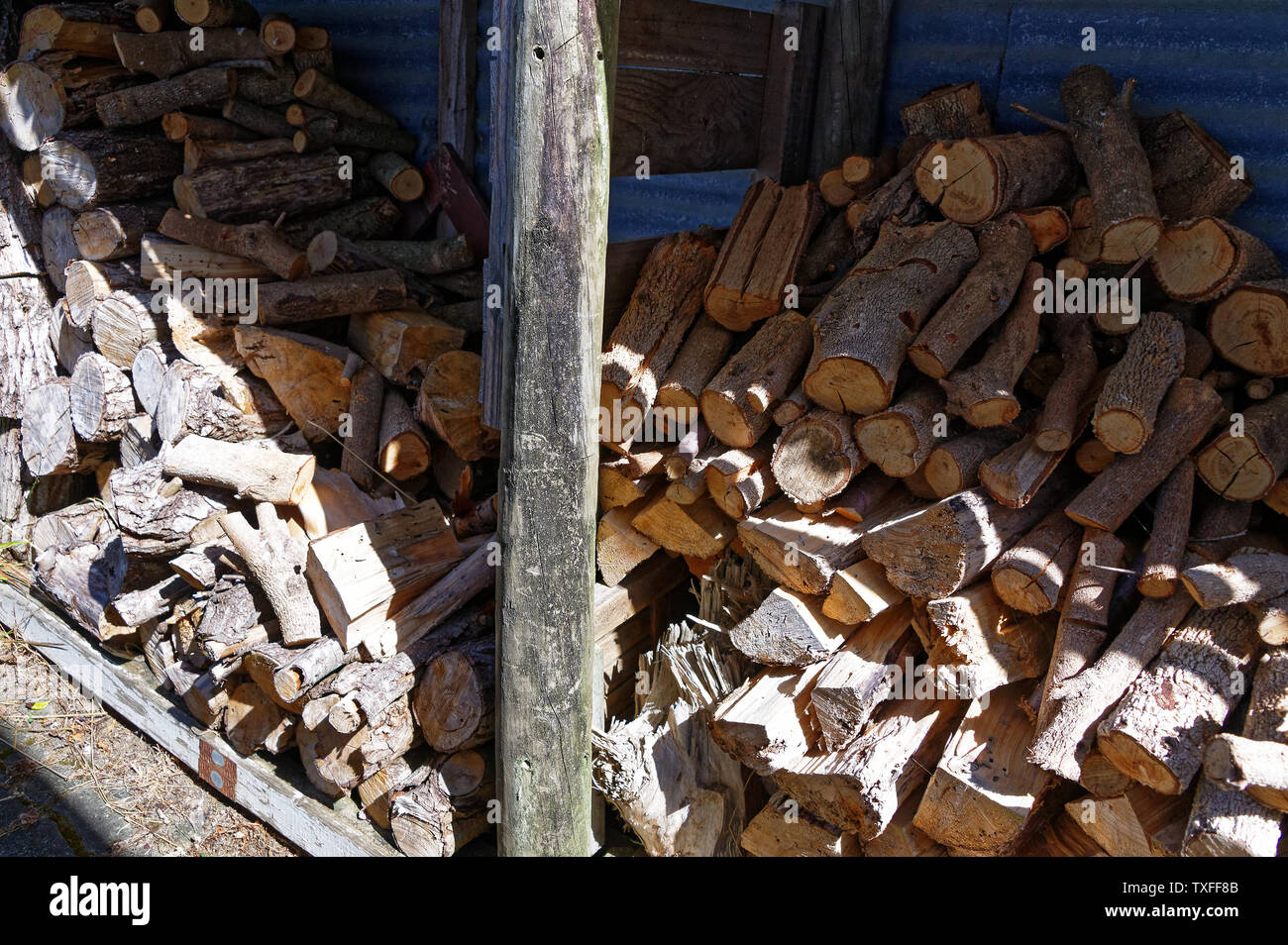Firewood for a long winter Stock Photo - Alamy